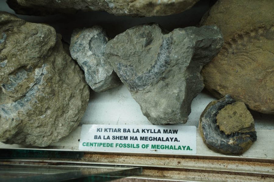 Rocking Meghalaya - Celebrating International Rock Day