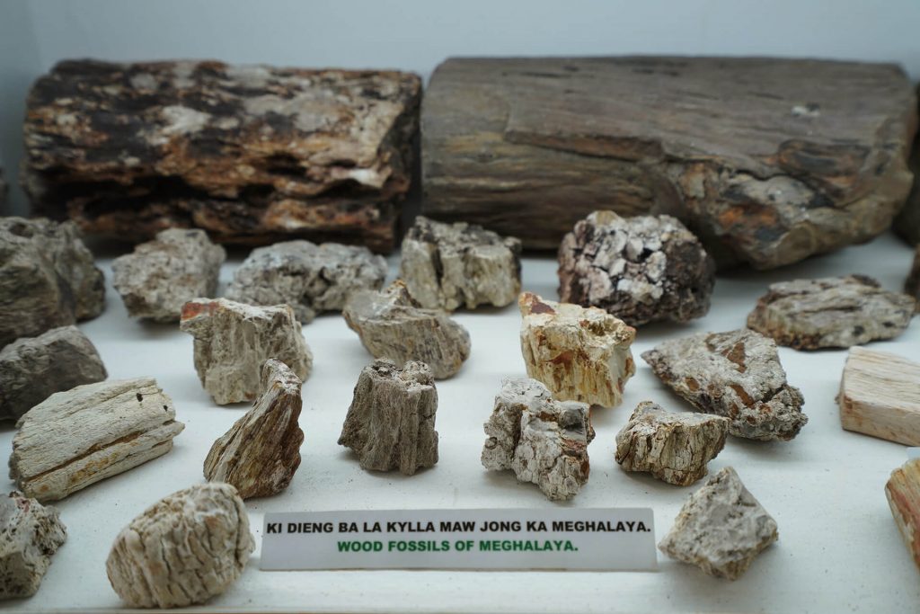 Rocking Meghalaya - Celebrating International Rock Day