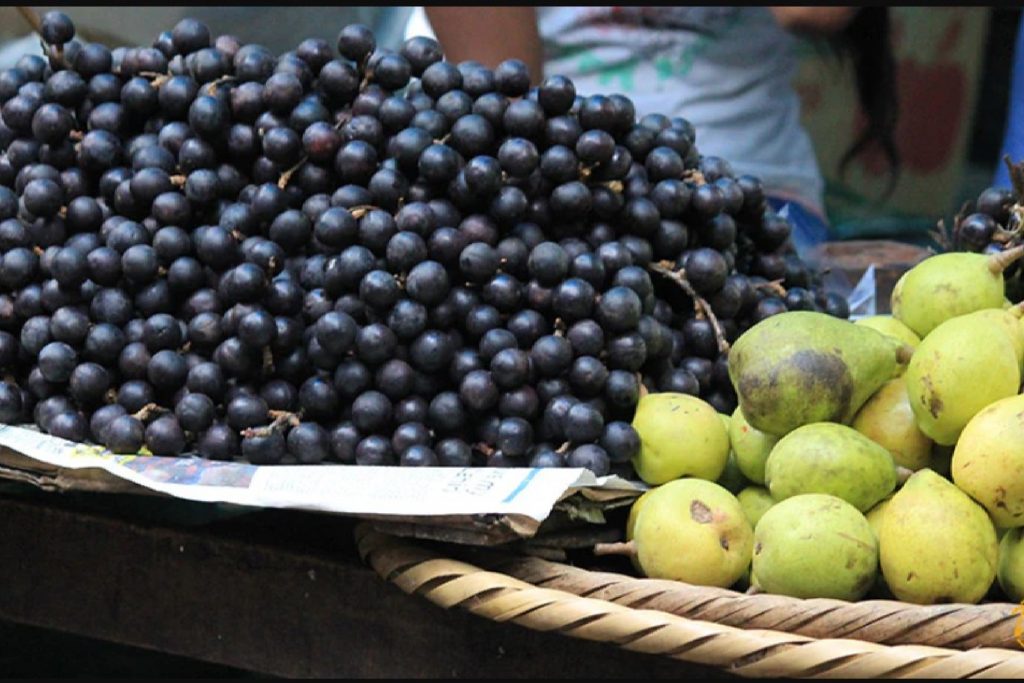 Curated Experiences in Meghalaya | Meghalaya Tourism